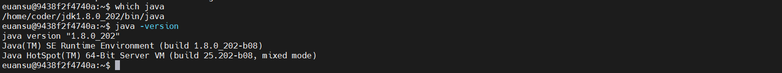 Code-Server安装部署 | EuanSu's Blog